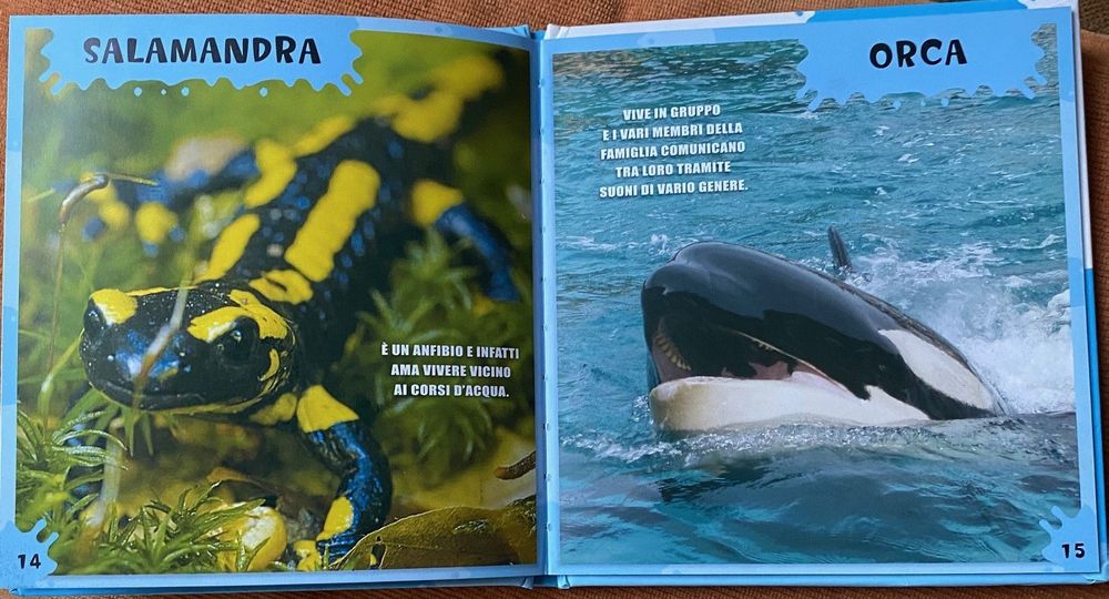 Animali curiosi,état neuf, en italien, excellent état | Kaufen auf Ricardo