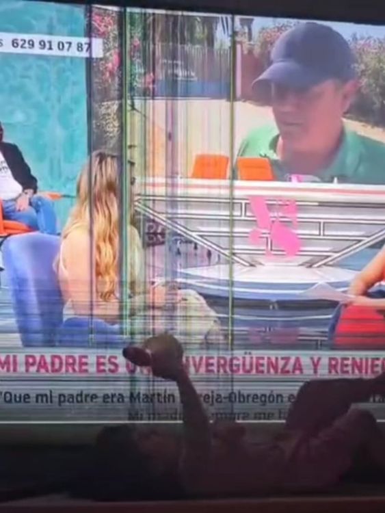 LG NanoCell 86” (217 cm) – Modell 86NANO86 – 4K Smart TV (Defekt) in Gebenstorf für CHF 1 – nur ...