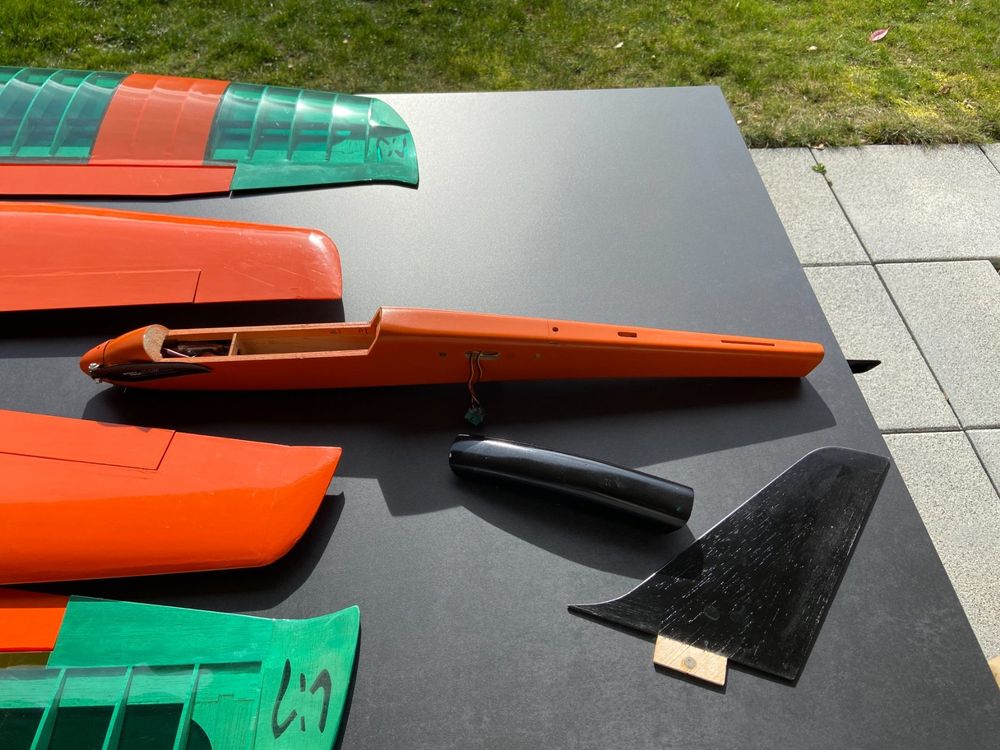 Nurflügler Puma von Robert Schweissgut, mit Zorro light (Gebraucht) in ...