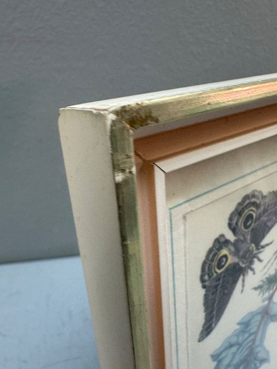BILD “MERIAN” AB 1.-!!! (Gebraucht) in Zürich für CHF 2 – nur Abholung ...