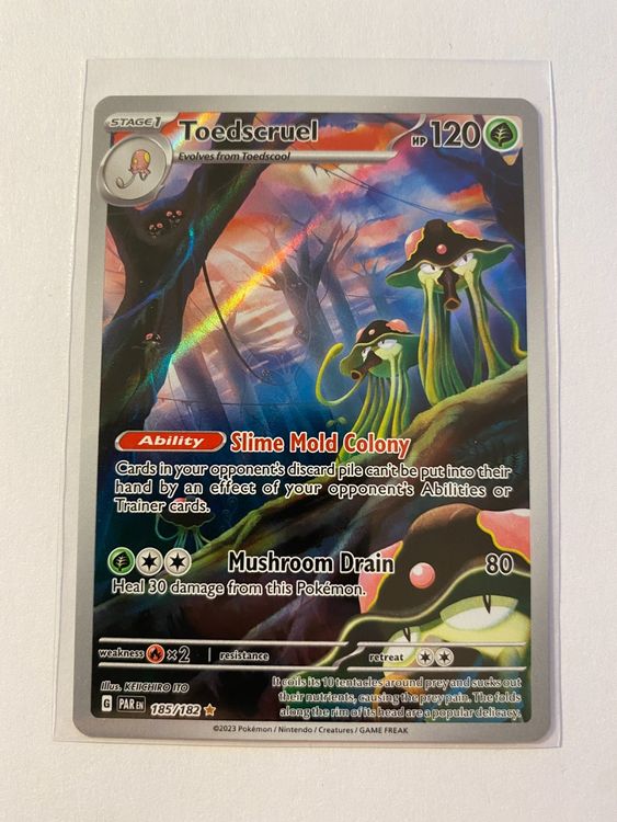 Pokemon Toedscruel 185/182 Paradox Rift EN (Neu (gemäss Beschreibung ...