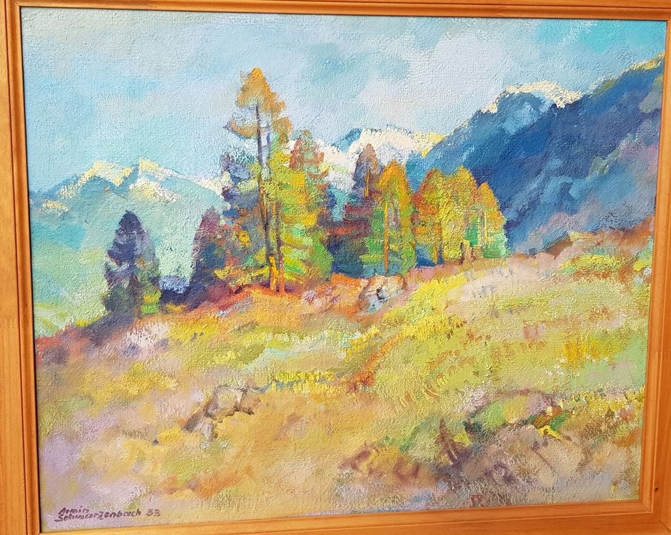 Armin Schwarzenbach ab 1.-!!!!!!!!!!!!!!!!!!!!!!!! | Kaufen auf Ricardo