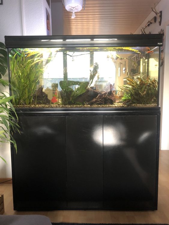 Aquarium 250l AquaLantis (Gebraucht) in Thun für CHF 50 – nur Abholung auf Ricardo kaufen