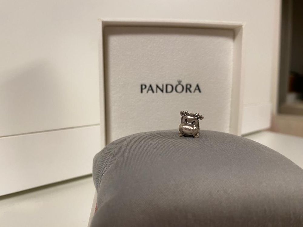 Pandora Charm (Gebraucht) in Egerkingen für CHF 25 – mit Lieferung auf ...