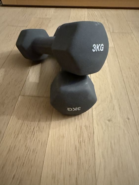 3 KG Dumbbells (Neu (gemäss Beschreibung)) in Zürich für CHF 12 – nur ...