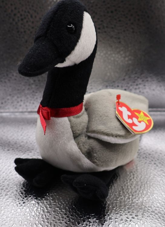 Ty Beanie Baby LOOSY .. Geb.29.03.1998 (Gebraucht) in winterthur für ...