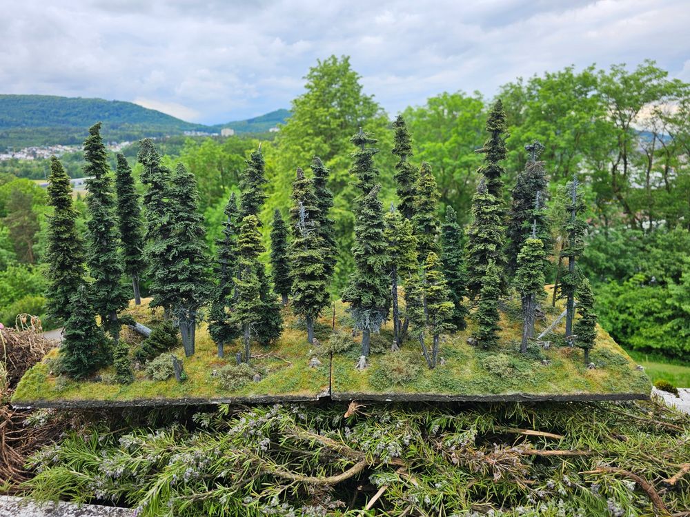 Schöne H0 Modellbäume Conifer Trees | Kaufen auf Ricardo