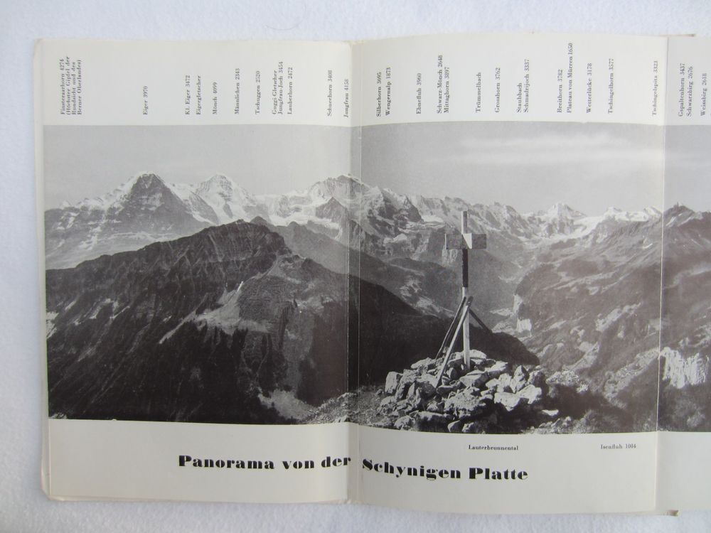 Panorama Karte Schynige Platte Berner Oberland antik (Gebraucht) in ...