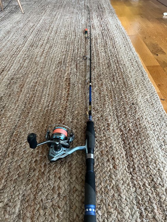 Balzer Forellenrute (Neu (gemäss Beschreibung)) in Meilen für CHF 80 ...