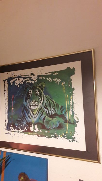 Bild Tiger, Rolf Knie | Kaufen auf Ricardo