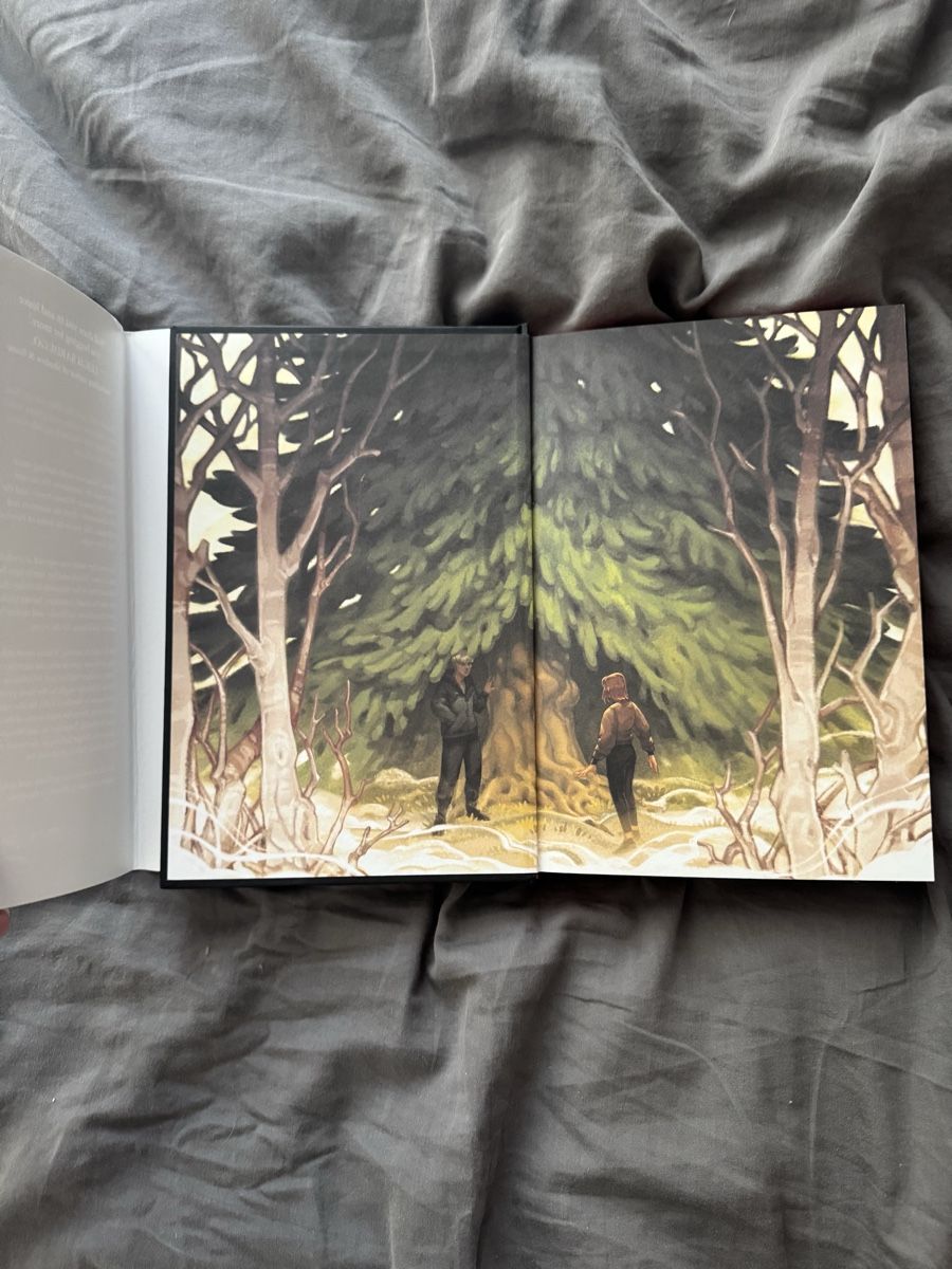 The Luminaries by Susan Dennard, Illumicrate Ed. New! (Neu (gemäss ...