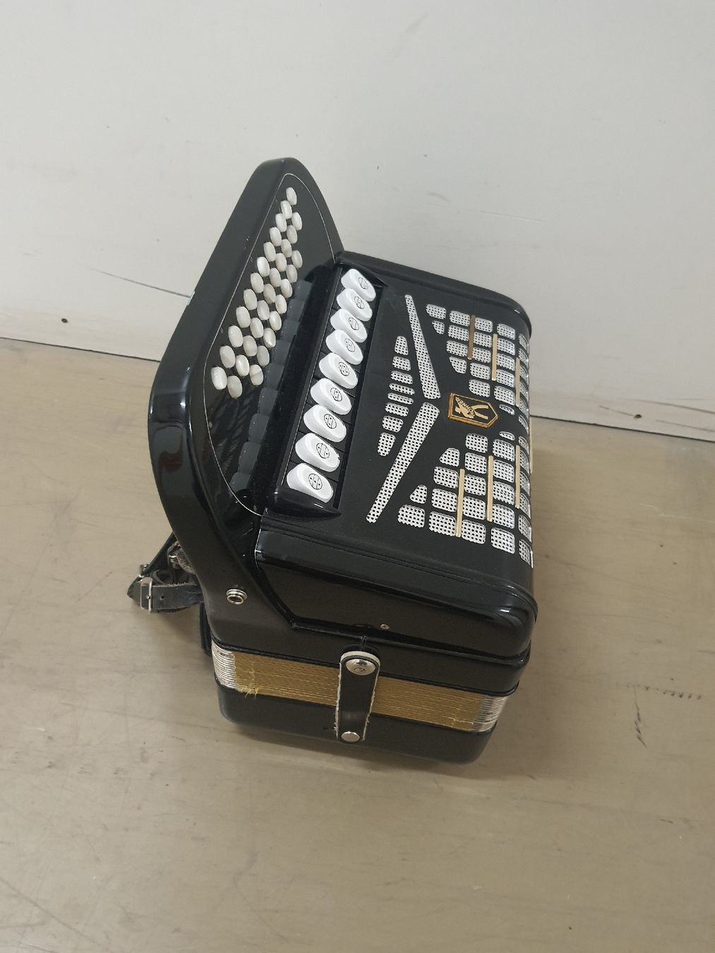 La Maison De Laccordeon Occasion