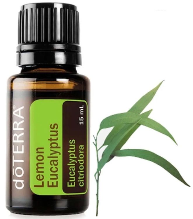 doTERRA Lemon-Eucalyptus / Zitroneneukalyptus 15 ml NEU!!! (Neu und originalverpackt) in Olten ...