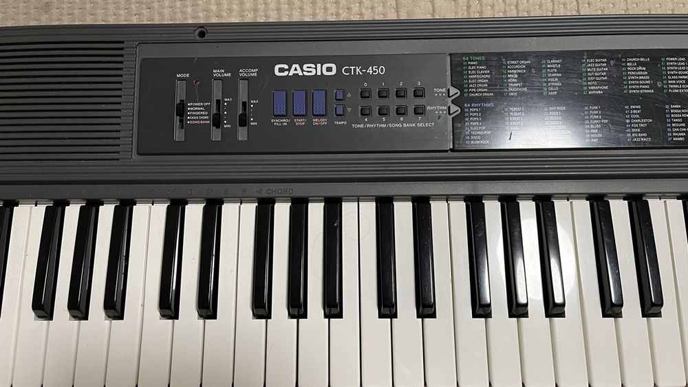 CASIO CTK-450 | Kaufen auf Ricardo
