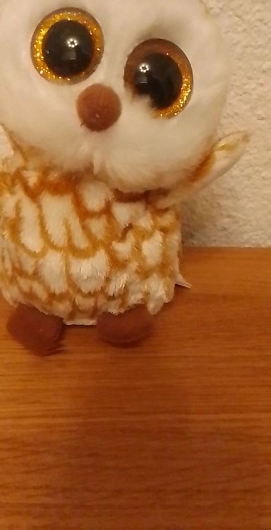 Plūschtier Eule ty swoops | Kaufen auf Ricardo