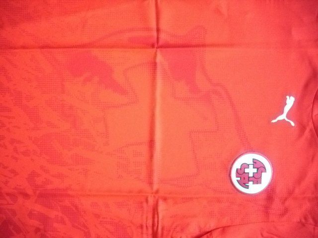 PUMA Fussball Trikot Nati Schweiz - Suisse - Svizzera - SFV (Neu ...