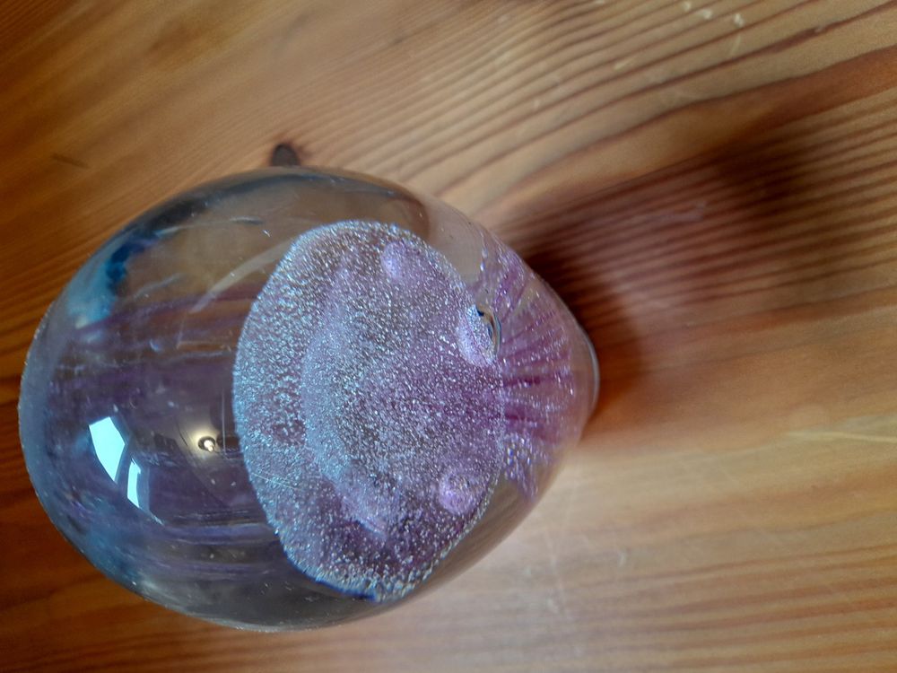 Glas mit integrierter Qualle zur Deko (Gebraucht) in Leuggelbach für ...