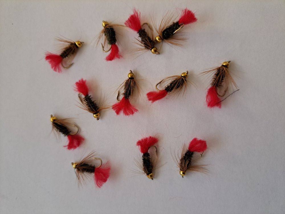 12 Red Tag Bead Nymph h 12 (Neu und originalverpackt) in Fribourg für ...
