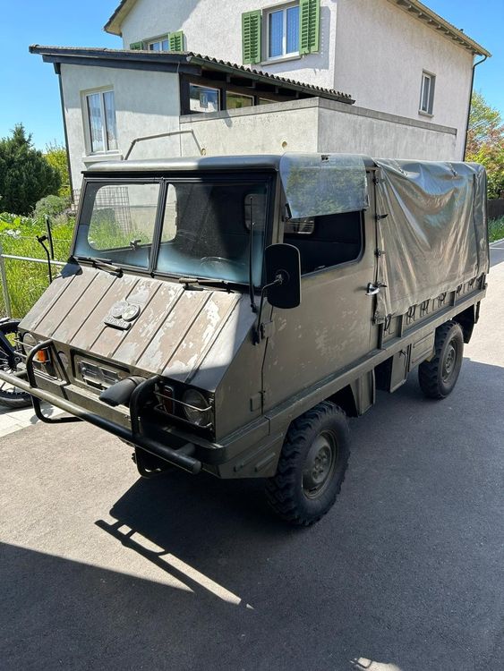 Puch Haflinger 703A (Gebraucht) in Schlattingen für CHF 12000 – nur Abholung auf Ricardo kaufen