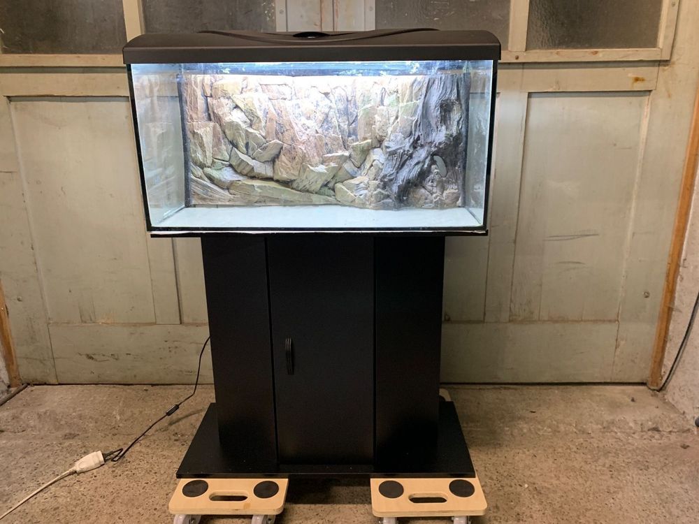 Aquarium Mit 3d Ruckwand