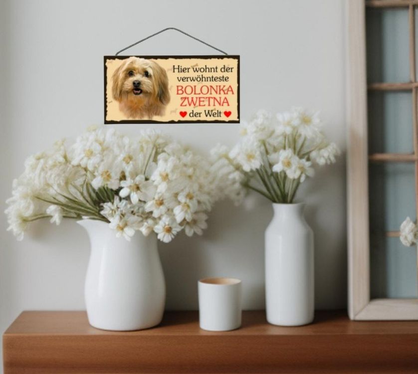 Hundeschild Bolonka Zwetna aus Holz NEU | Kaufen auf Ricardo