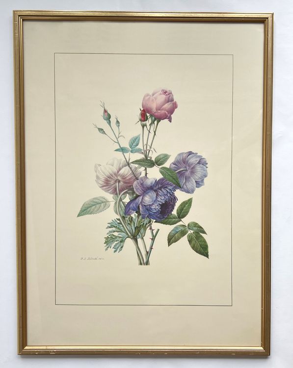 Kunstdruck von Pierre Joseph Redouté*1813*Holzrahme**** (Gebraucht) in ...