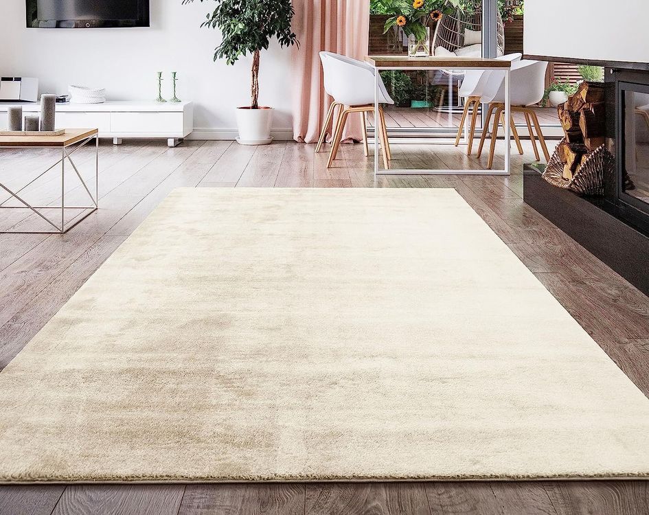 AUF RECHNUNG & PORTOFREI 🔥 Teppich Super Soft 160x220 (Neu und ...