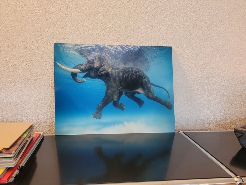 Lumas Bild rajan iv Jody MacDonald (Gebraucht) in Hünenberg See für CHF 65 – mit Lieferung auf ...