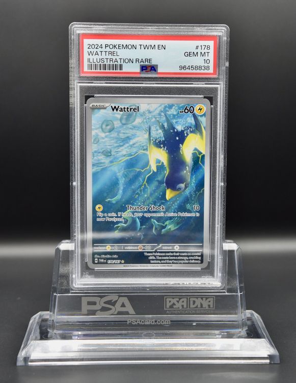 PSA 10 GEM MINT, 2024, TWM, Pokemon Card #178 Wattrel (Neu (gemäss Beschreibung)) in Reinach BL ...