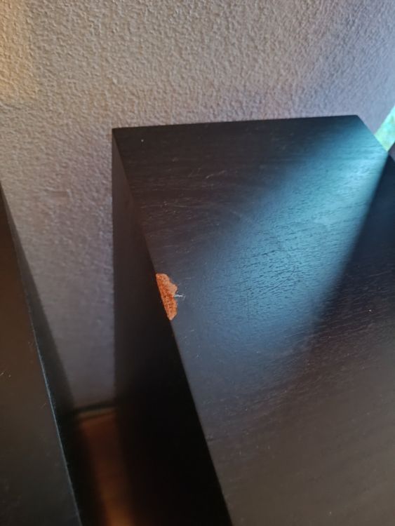 Rotel HiFi system + Dali 606 Lautsprecher (Gebraucht) in für CHF 233 ...