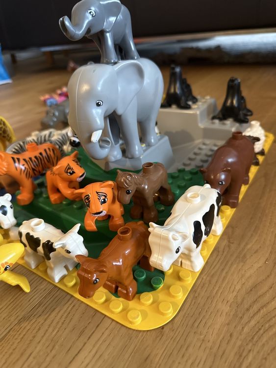 Lego Duplo Zoo Platte mit Zootiere und andere Tiere Lot | Kaufen auf Ricardo