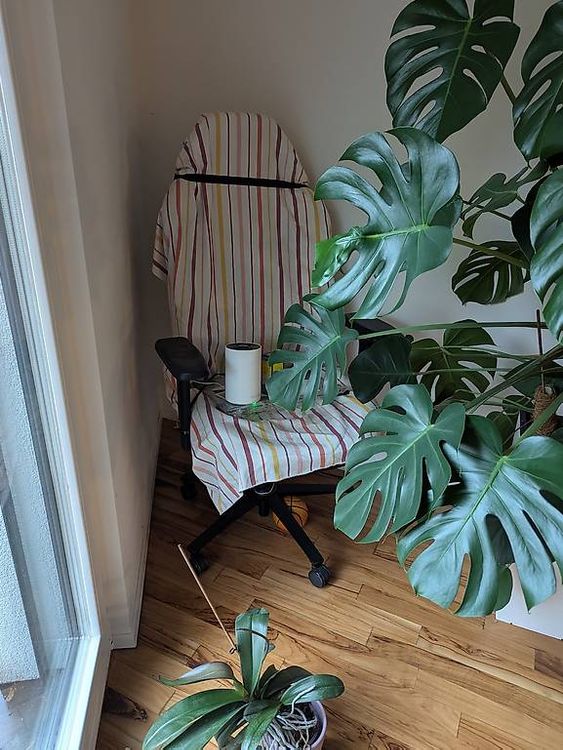 Secret lab titan Batman chair (Neuf (Voir description)) à Zürich pour ...