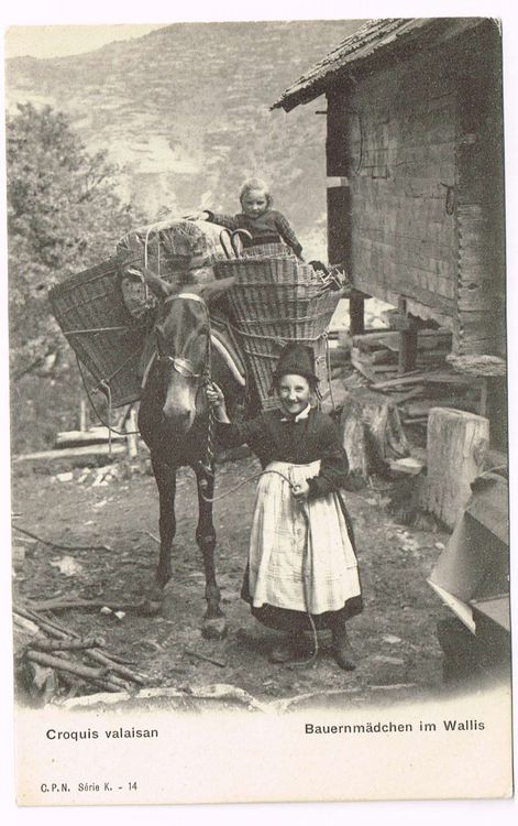 WALLIS VS 1900 Maultier Muli + Mädchen (Gebraucht) in Rothrist für CHF 12 – mit Lieferung auf ...