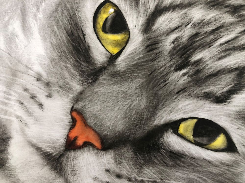 Handgemaltes ORIGINAL Katzenbild, UNIKAT, signiert | Kaufen auf Ricardo