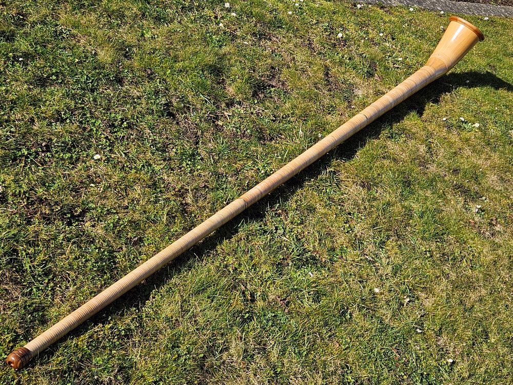 Alphorn in Fis/Ges STOCKER (NEUWERTIG) (Neu (gemäss Beschreibung)) in ...