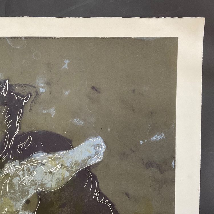 Hans Erni - Litho 105 x 75 cm. (Gebraucht) in Pieterlen für CHF 105 – mit Lieferung auf Ricardo ...