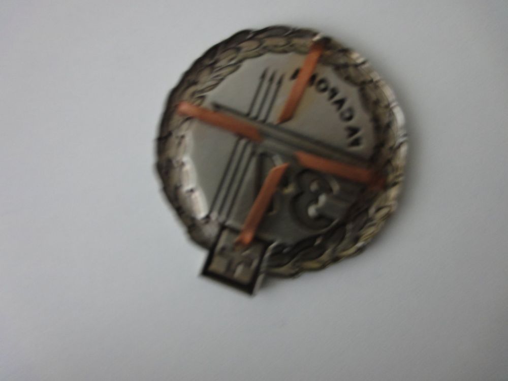 Plakette Fliegerbrigade 31 Luftwaffe PA CAPONA | Kaufen auf Ricardo