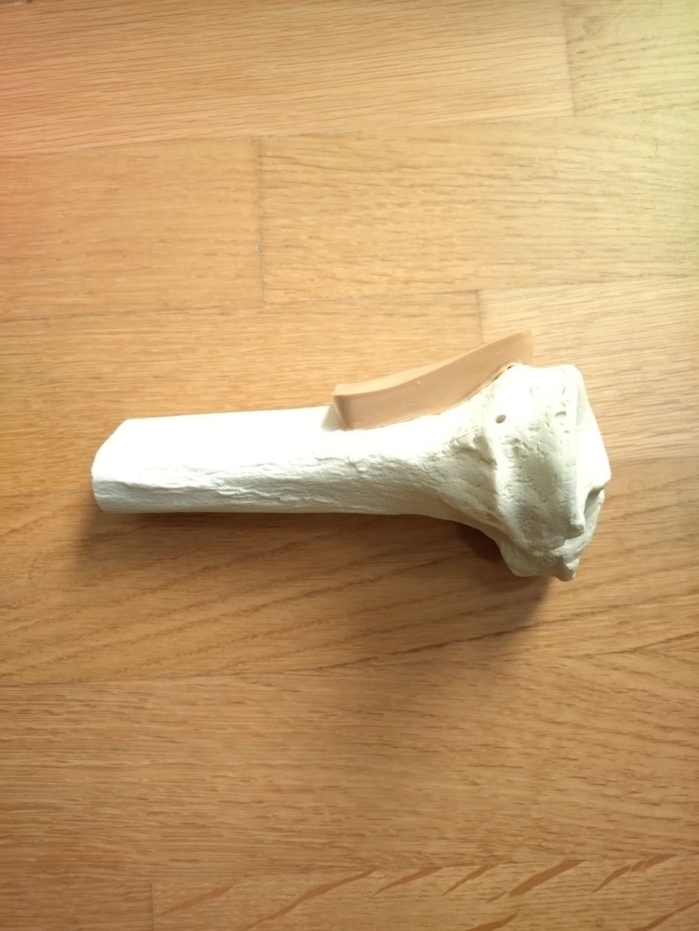 EZ IO Tibia Bone / Übungs-Knochen für i.o. Bohrer (Gebraucht) in Muri ...