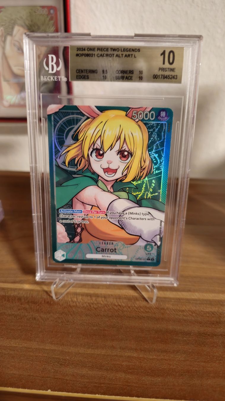 Carrot BGS 10 Leader alt. art. OP08-021 Englisch (Gebraucht) in Bern für CHF 89 – mit Lieferung ...