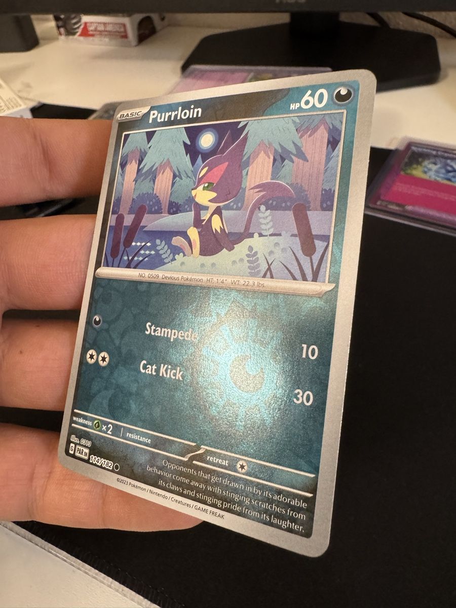 Purrloin 114/182 – Reverse Holo – Englisch – NM (Neu (gemäss ...