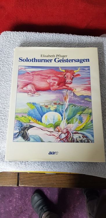 SOLOTHURNER GEISTERSAGEN / ELISABETH PFLUGER | Kaufen auf Ricardo