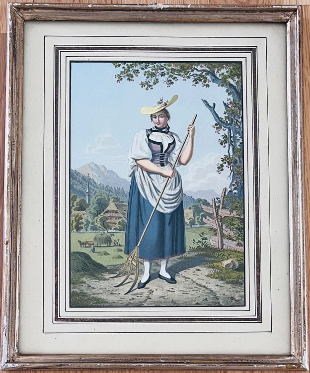 Lory Gabriel Ludwig 1763-1840 kolorierte Stich | Kaufen auf Ricardo