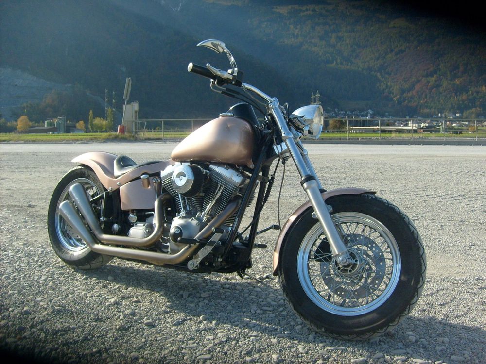 HARLEY-DAVIDSON FXST Softail Standard Custom Bike | Kaufen auf Ricardo