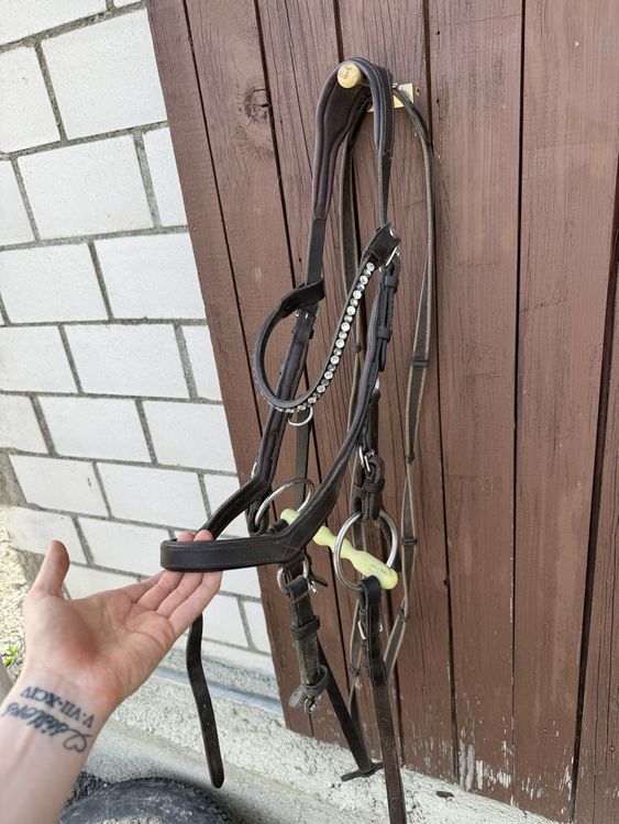 Zaum mit 13 Stirnbänder zum auswechseln (Gebraucht) in Sempach für CHF ...