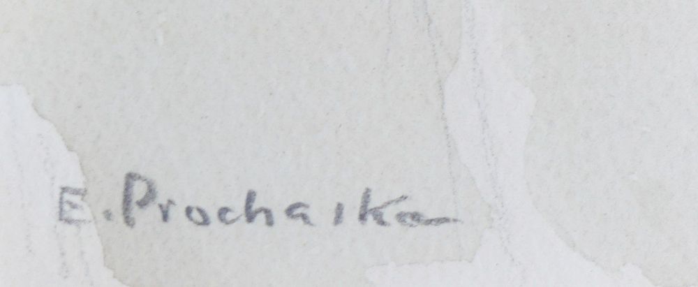Stillleben von Emil Prochaska 1874-1948 (Gebraucht) in Ostermundigen ...