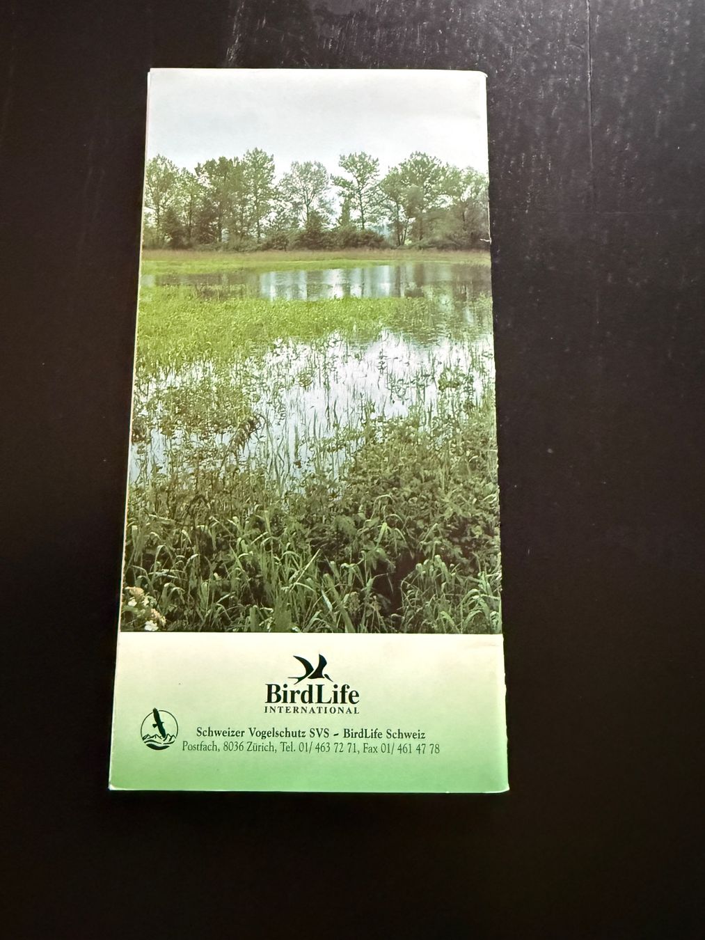 Amphibien der Schweiz - SVS-Heft, Top Zustand, selten! (Gebraucht) in ...