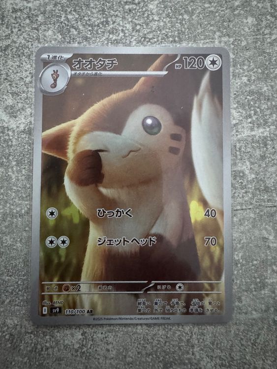 Wiesenior Battle Partners - Furret Pokemon (2) (Gebraucht) in Emmen für ...