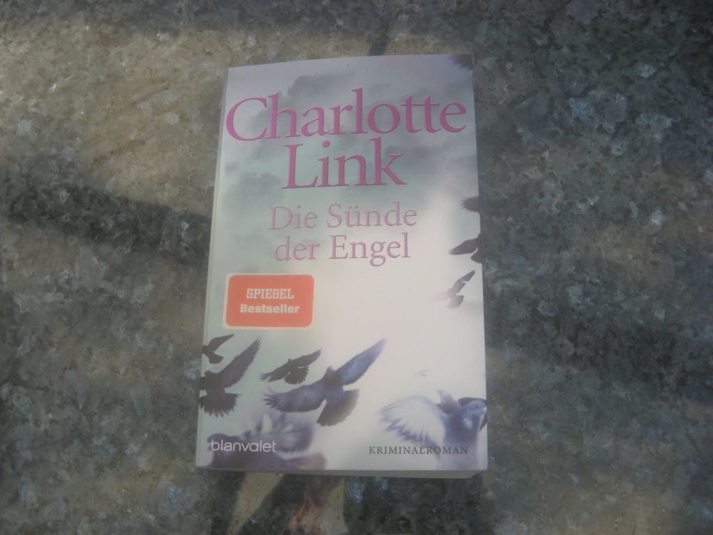Die Sünde der Engel von Charlotte Link | Kaufen auf Ricardo