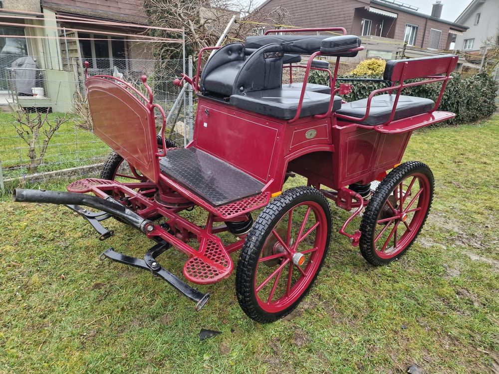 Pferdekutsche Trainings-Wagonette ein- oder zweispännig (Gebraucht) in Aefligen für CHF 1129 ...