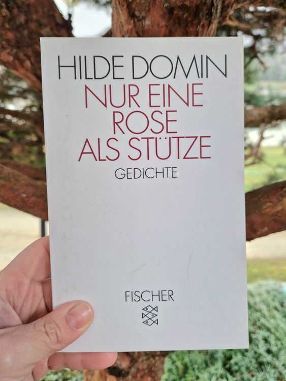 Nur eine Rose als Stütze -Hilde Domin/Psychologie/Trauer (Gebraucht) in ...